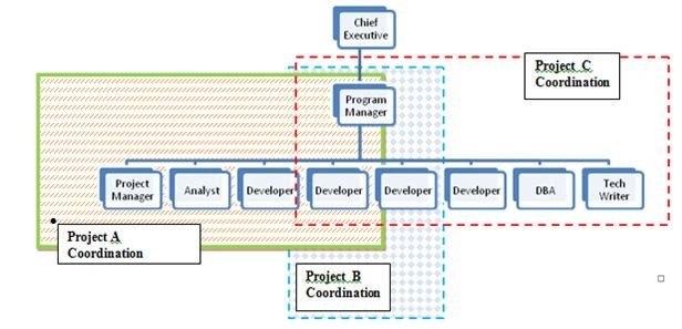 Program Organization Structures: Defining Common Classifications